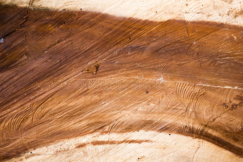 Skin of bark stock image. Image of material, design - 120546993