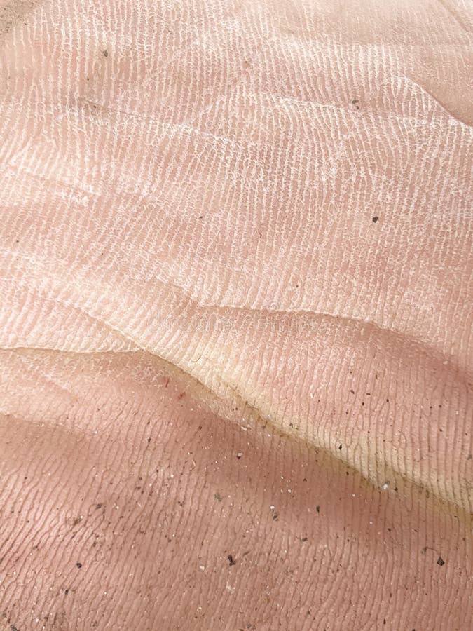 Skin body texture stock photo. Image of care, pattern - 265472178