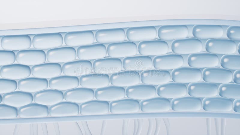 Skin Cell Background with Cosmetics Concept, 3d Rendering Stock Footage ...