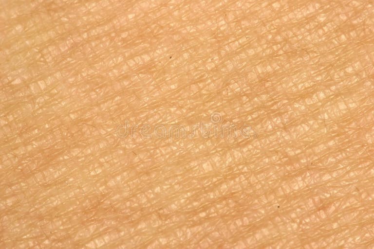 181 Asian Human Skin Texture Up Close Macro Stock Photos - Free ...