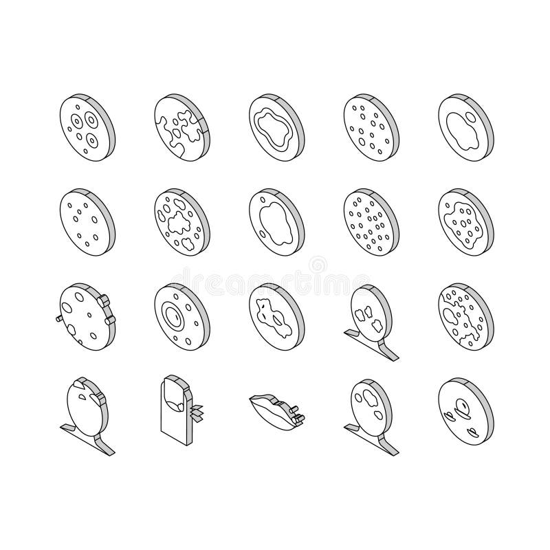 Skin Disease Symptom Collection Isometric Icons Set Vector Stock Vector