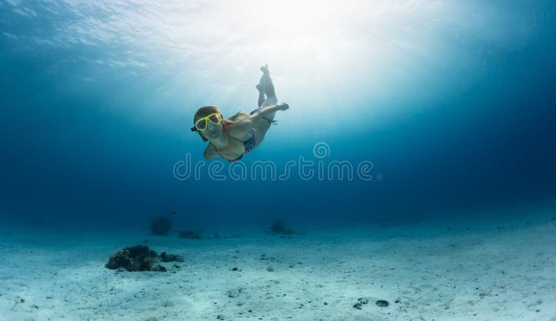 Skin diving in the ocean stock image. Image of ocean - 61759569