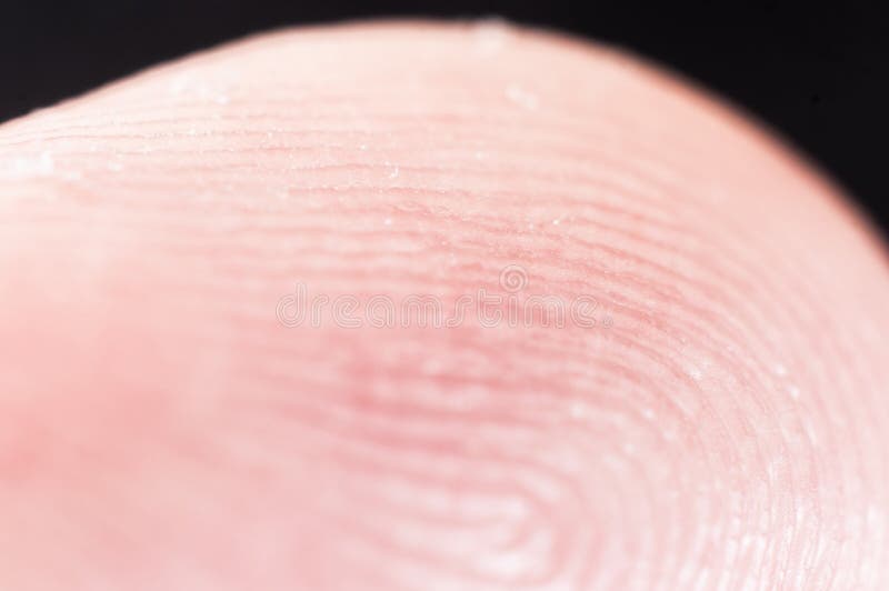 The Skin of a Finger on a Human Hand Close-up, Macro Stock Image ...