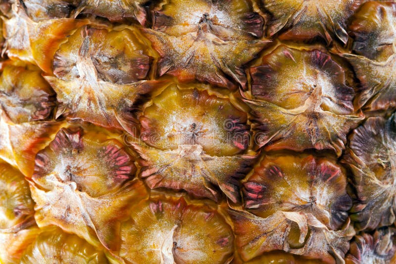 Skin of Fresh Pineapple Close Up Stock Image - Image of healthy ...