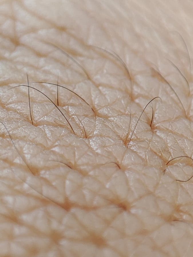 Skin with fur hand micro stock photo. Image of furhand - 261812498