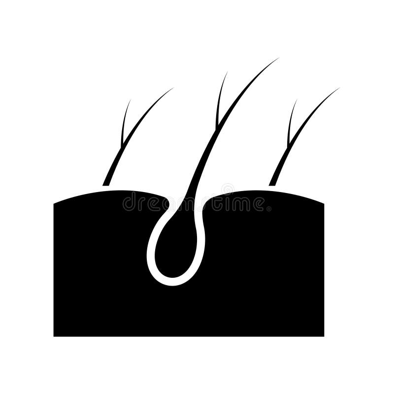 Skin Hair Icon Vector Design Template Basic RGB Stock Illustration ...