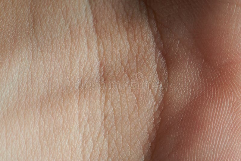Skin on join of hand stock photo. Image of pattern, detail - 79842902