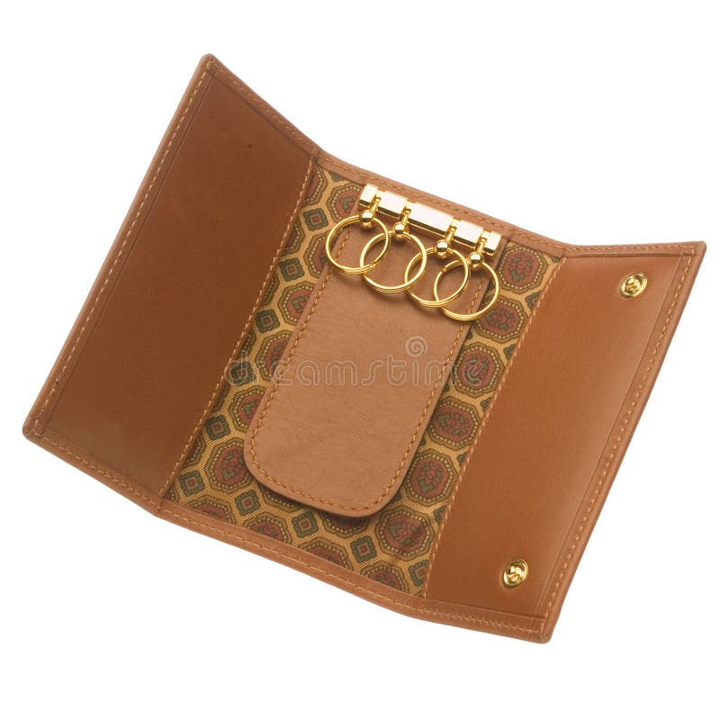 Skin Key Holder Picture. Image: 3979415