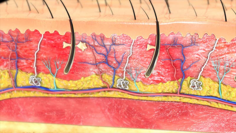 Second Degree Burn stock footage. Video of scalding, chemical - 72509468
