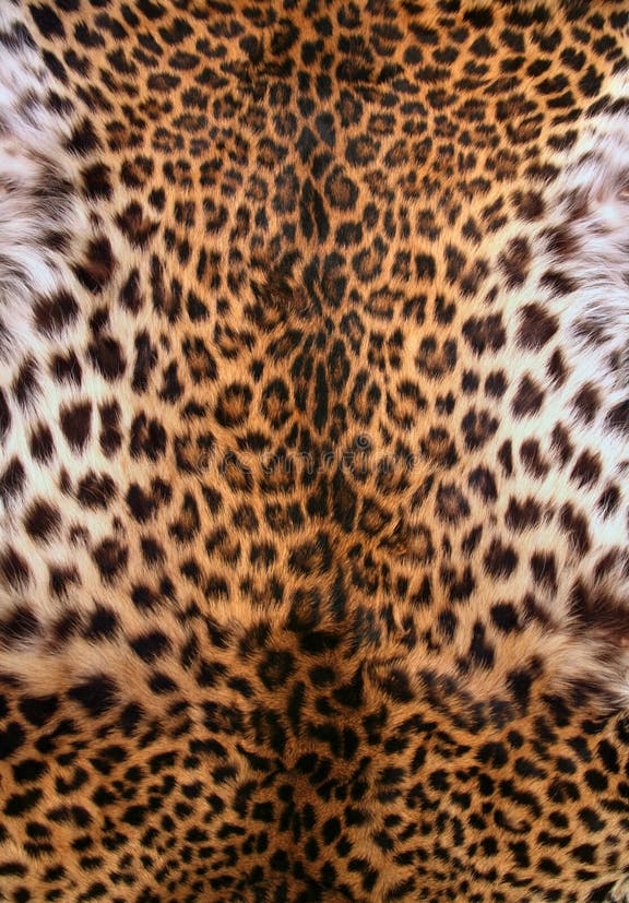 Skin of the leopard stock image. Image of soft, textile - 5069365