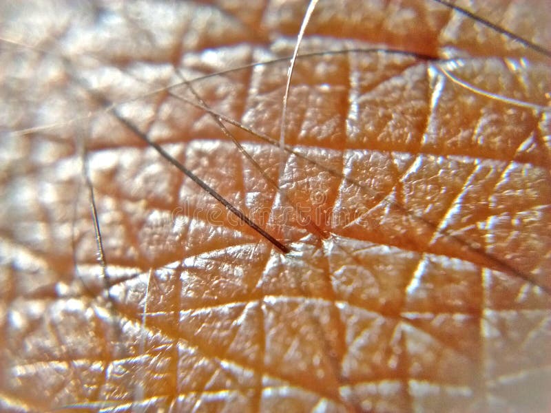 Skin stock image. Image of human, close, skin, macro - 93704819