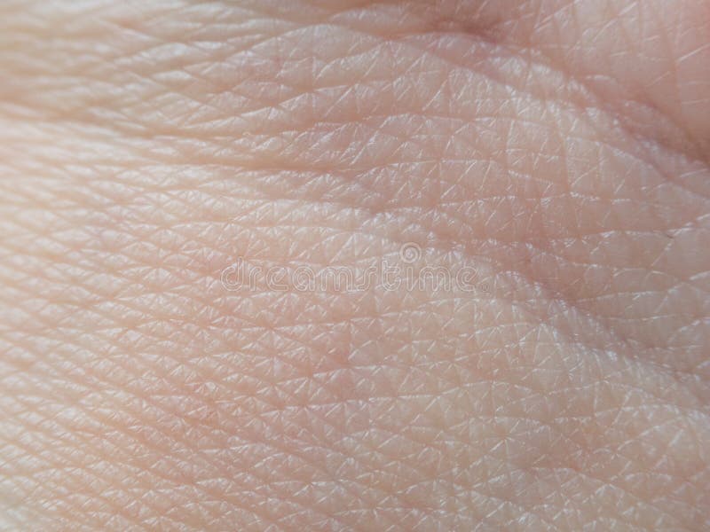 Skin macro texture stock image. Image of closeup, abstract - 159779183