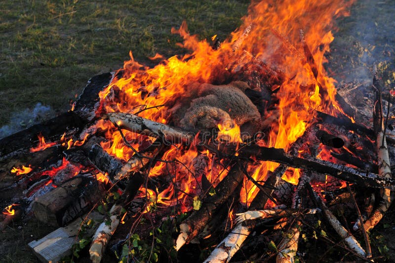 Skin of the ram on fire stock photo. Image of gods, ancient - 10926998