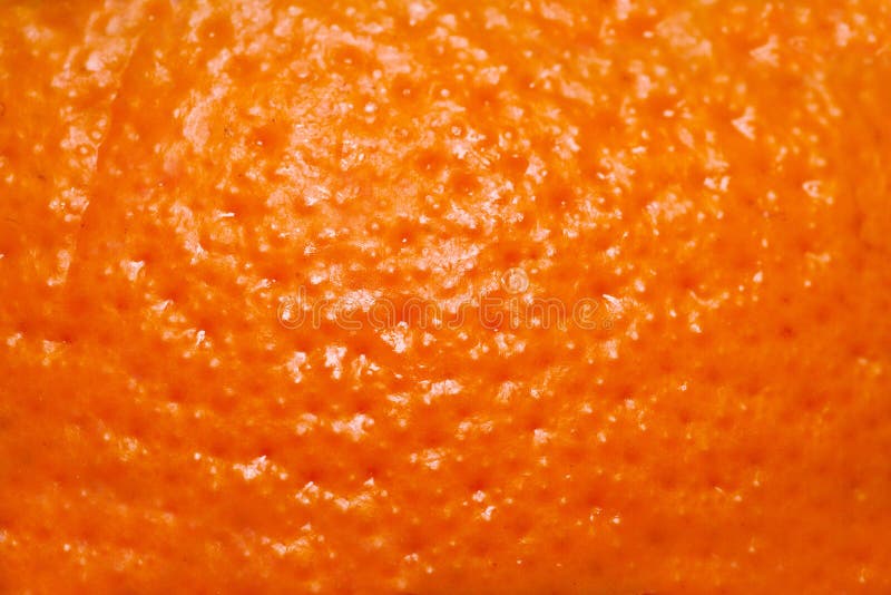 Skin of Ripe Fruit of Orange. Stock Photo - Image of frame, slices ...