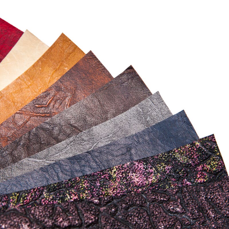 Skin Samples in a Variety of Colors. Stock Photo - Image of design ...