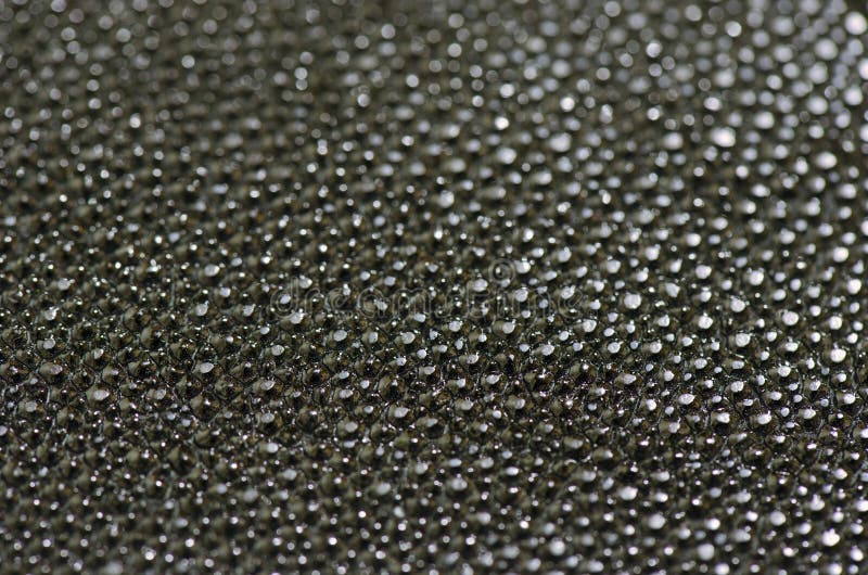 Texture of Genuine Stingray Leather Stock Image - Image of form ...