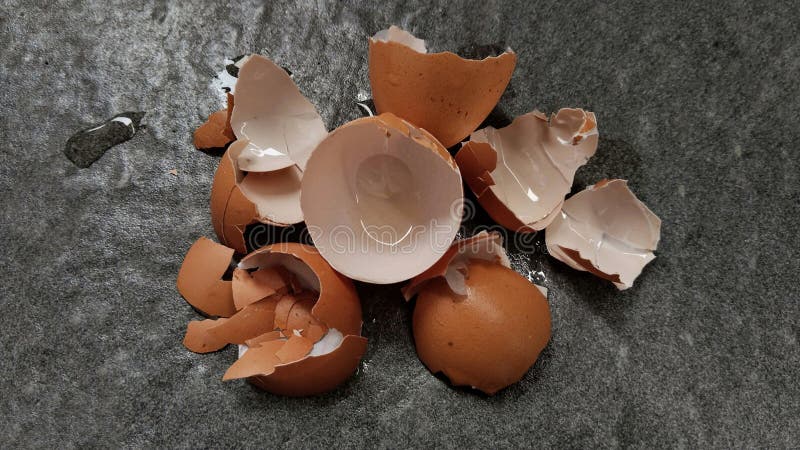 Chicken Egg Shell stock photo. Image of skin, shell - 350440194