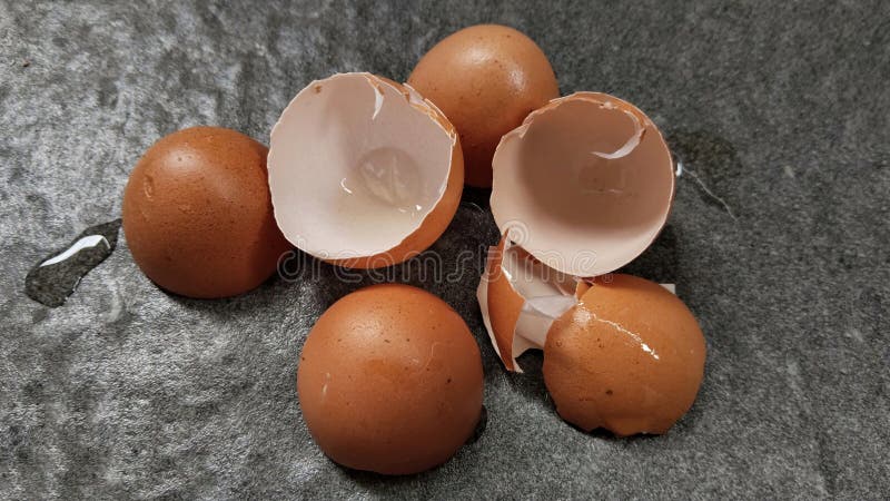 Chicken Egg Shell stock photo. Image of calcium, carbonate - 352057736