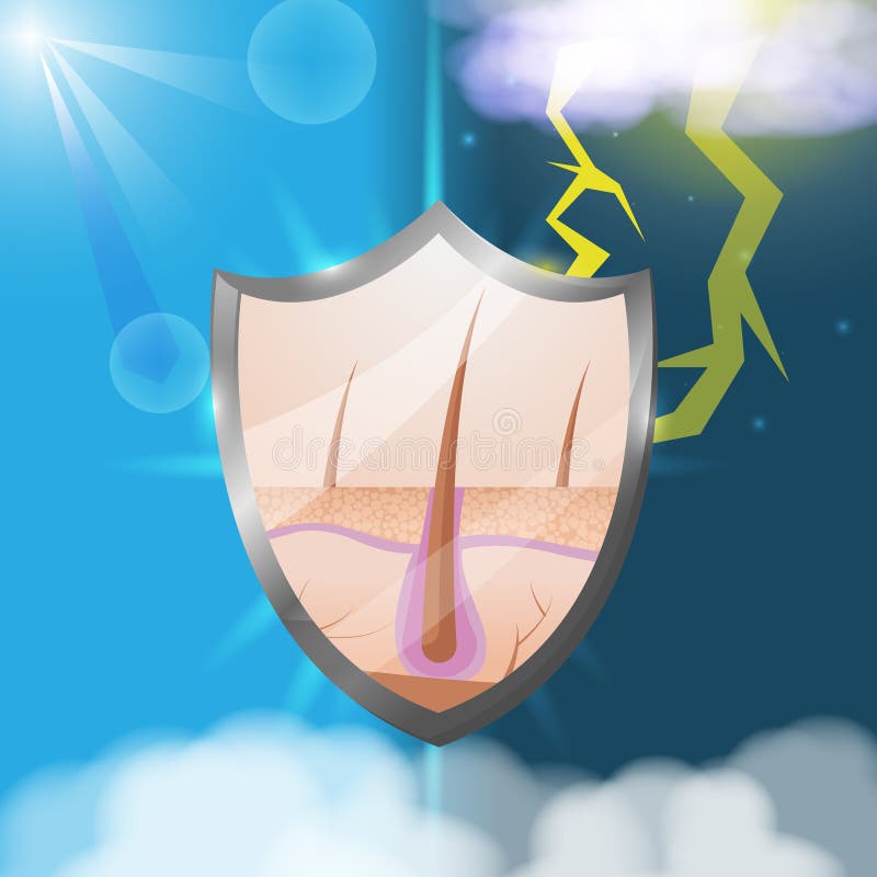 Skin Shield Protect Weather Biology Vector Stock Vector - Illustration ...