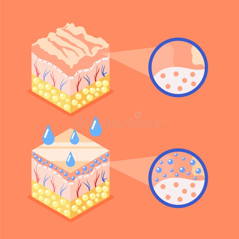 Skin Structure Cubes Composition Stock Illustration - Illustration of ...