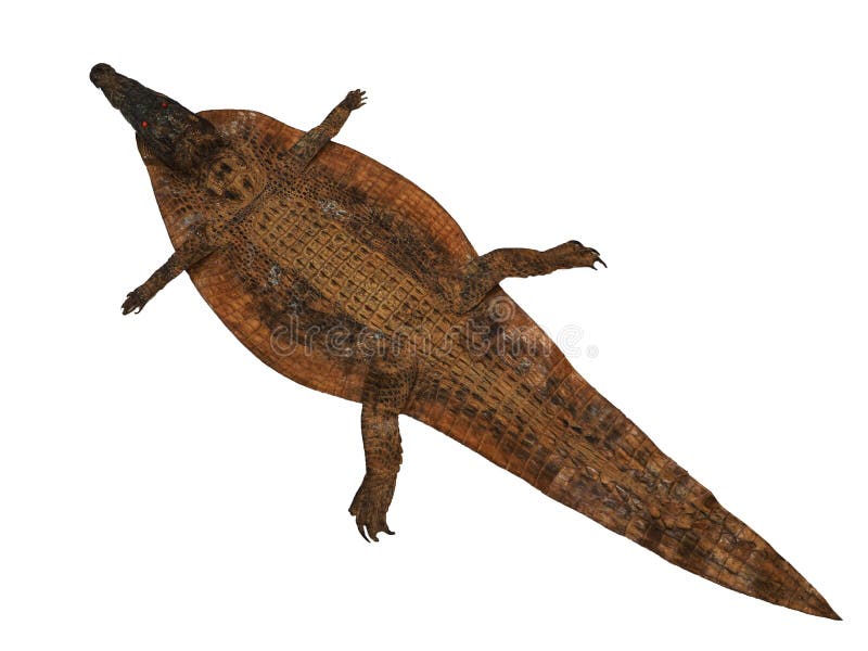 1,006 Stuffed Animal Texture Stock Photos - Free & Royalty-Free Stock ...