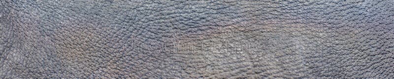 Skin surface texture stock image. Image of background - 251220859
