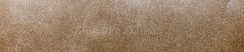 Skin surface texture stock photo. Image of detail, background - 251220872
