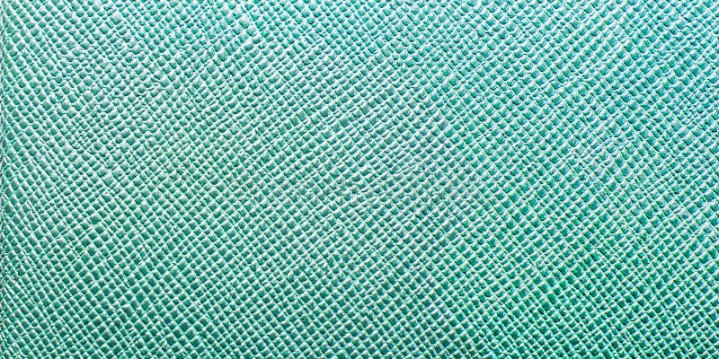 Skin surface texture stock photo. Image of apricot, backdrop - 251220628