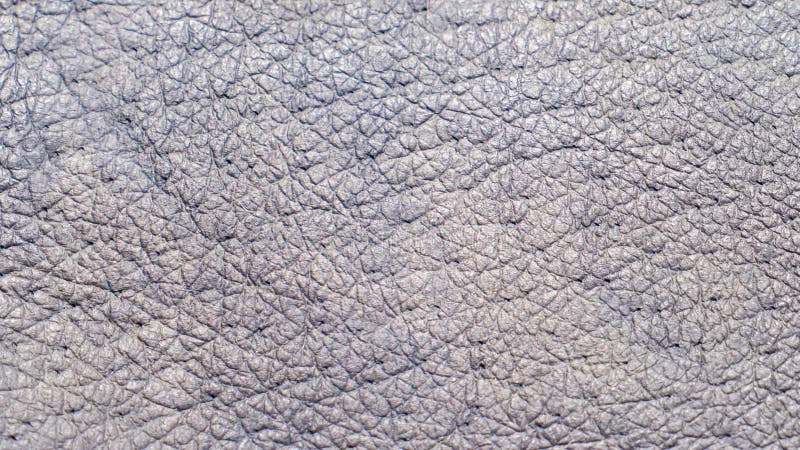 Skin surface texture stock footage. Video of pattern - 256626742