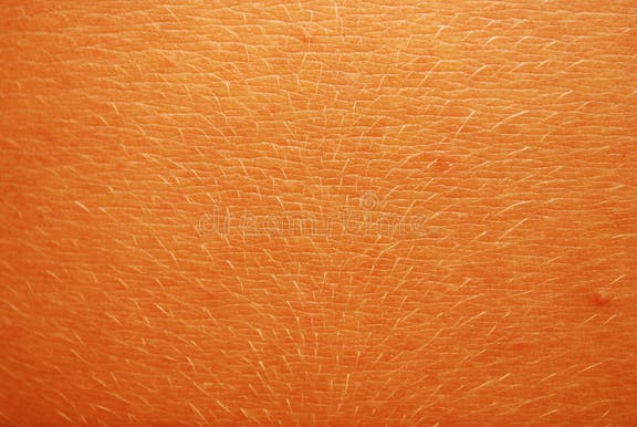 31,819 Smooth Skin Texture Stock Photos - Free & Royalty-Free Stock ...