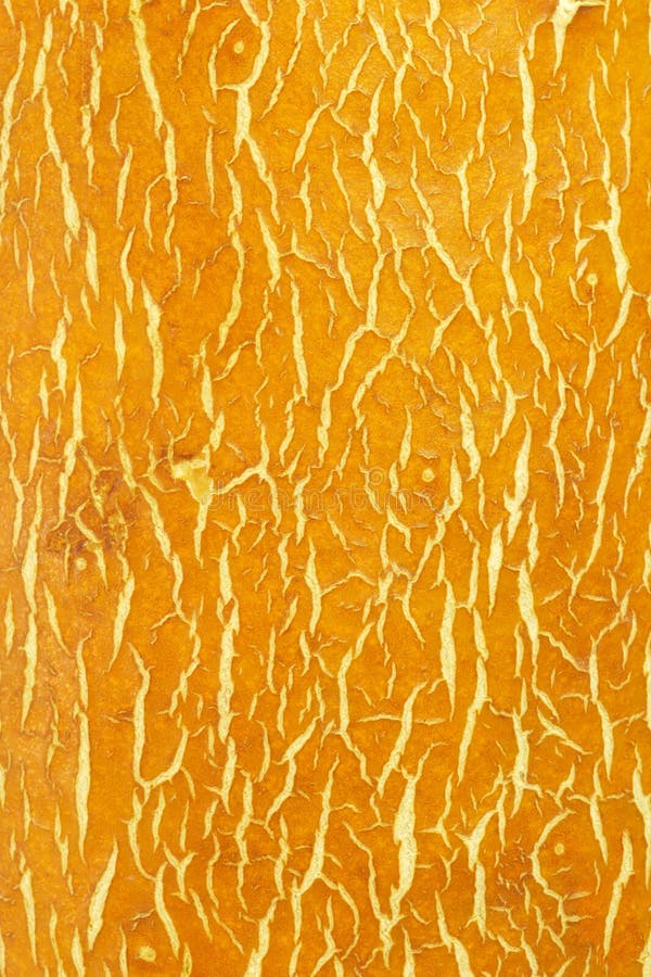 Skin Texture Chinese Yellow Cucumber Stock Photos - Free & Royalty-Free ...