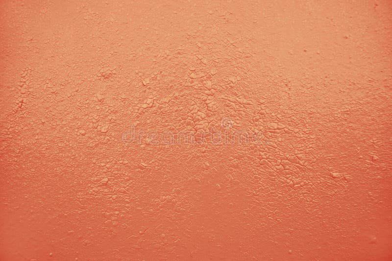 Skin Texture. Coral Background. Texture and Background. Stock Image ...