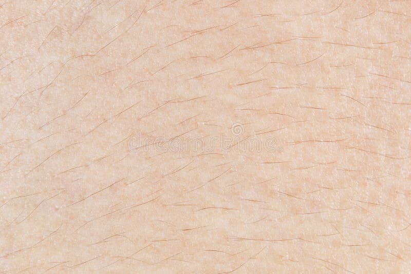 Skin Texture with Hair for Pattern Stock Image - Image of candid ...