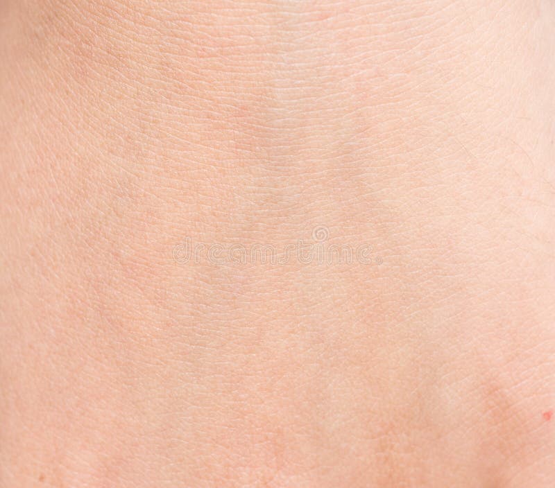 330 Tendon Texture Stock Photos - Free & Royalty-Free Stock Photos from ...