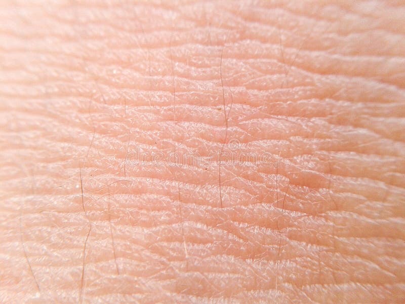 Skin texture macro stock photo. Image of rugged, rough - 127564914