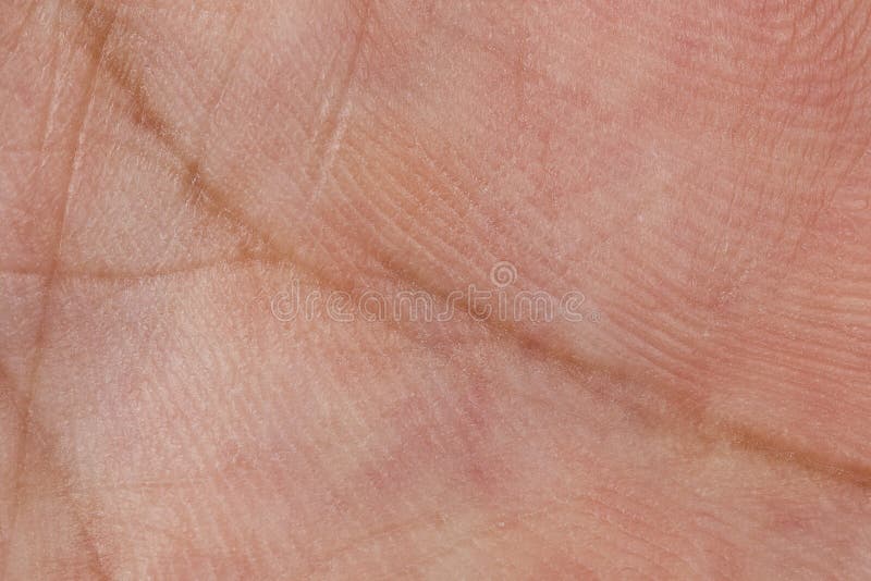 Skin texture for pattern stock photo. Image of lines - 57033206