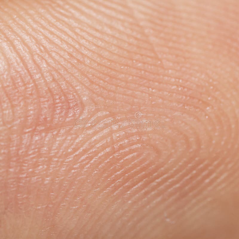 1,934 Human Skin Palm Texture Stock Photos - Free & Royalty-Free Stock ...