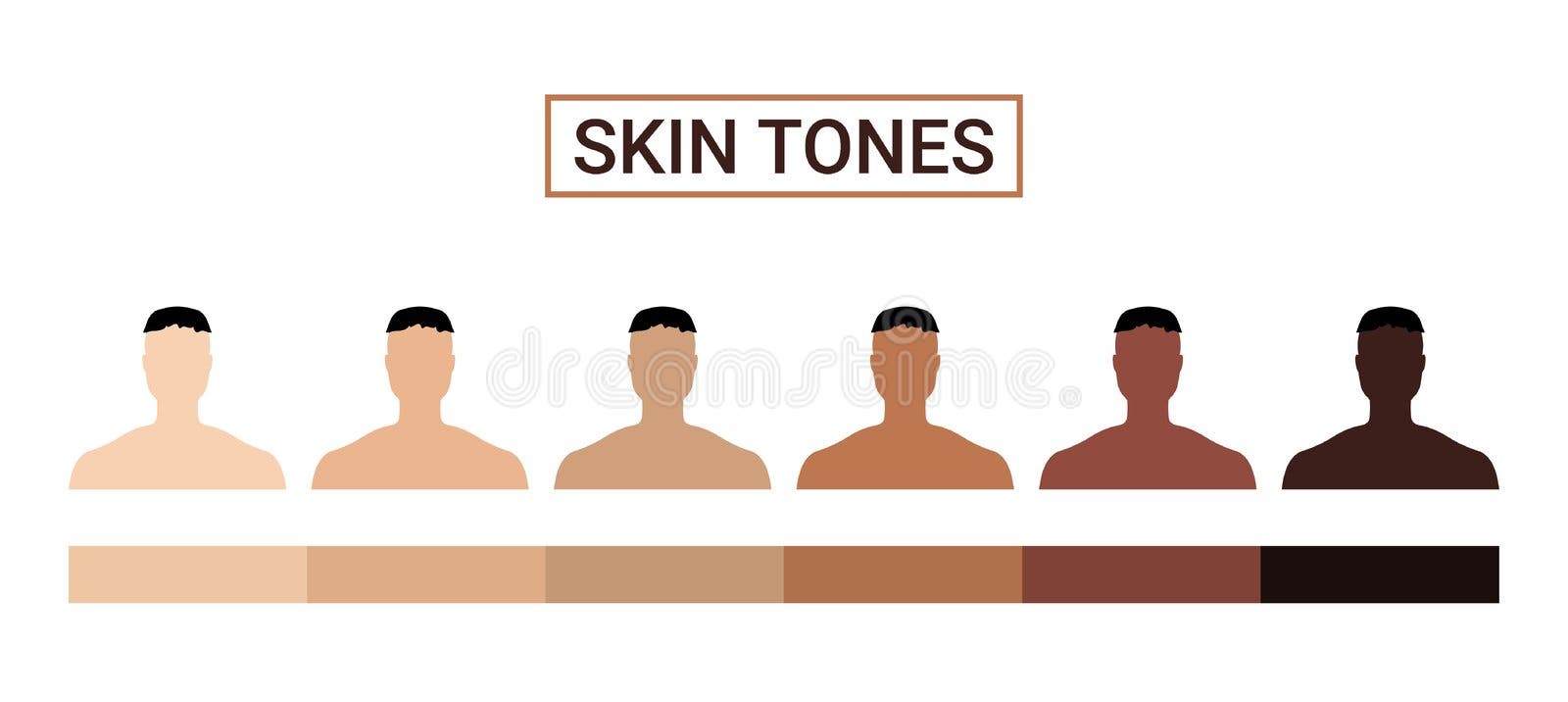 Skin Tone Color Scale Chart Brown Palette Vector Human Skin