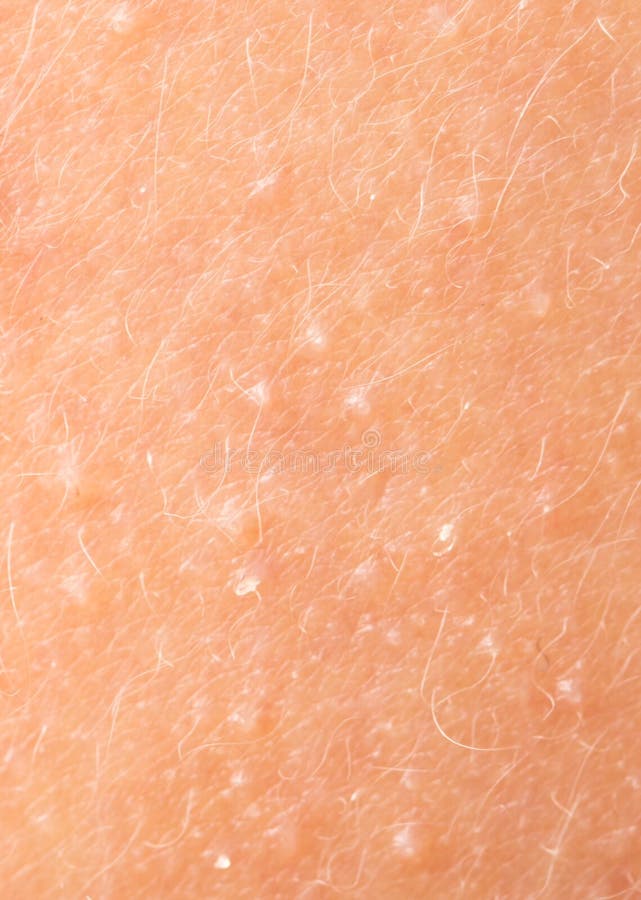 168 White Wen Stock Photos - Free & Royalty-Free Stock Photos from ...