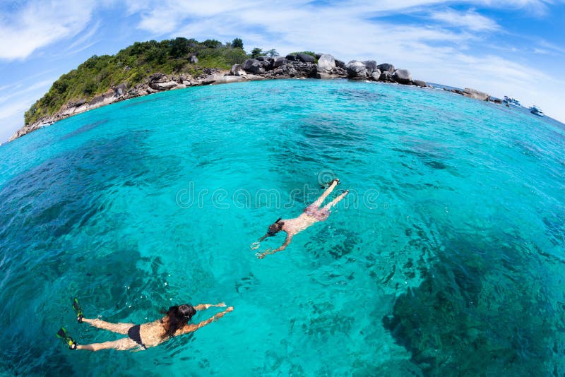 Skindiving in the sea stock image. Image of coral, sight - 67245597