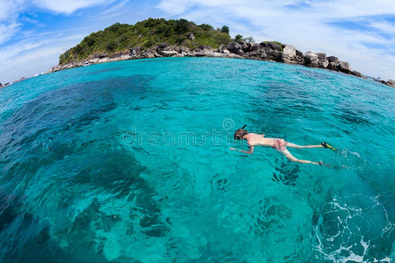 Skindiving in the sea stock photo. Image of biology, swimming - 67245658