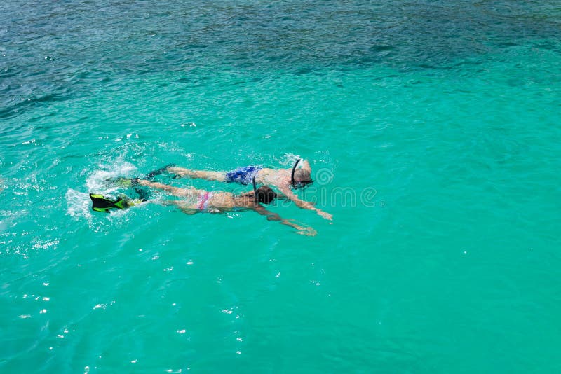 Skindiving in the sea stock image. Image of biology, observing - 67250201