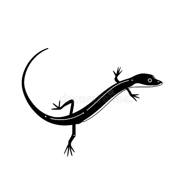 Skink Art Stock Illustrations – 275 Skink Art Stock Illustrations ...