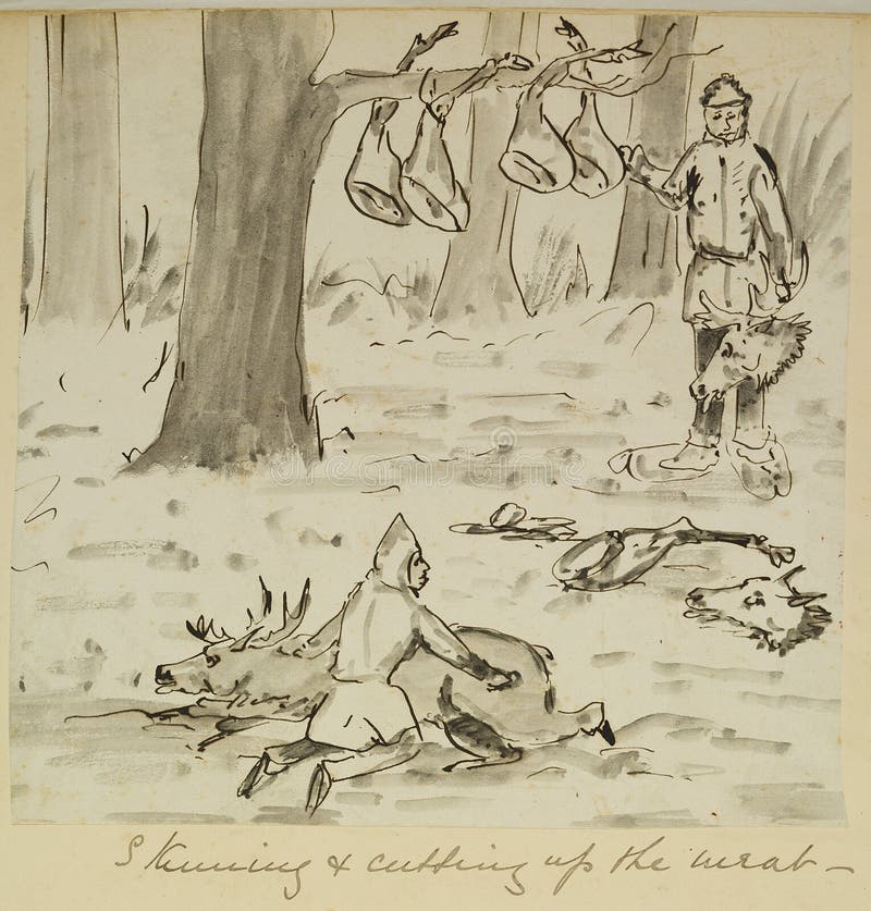 Skinning And Cutting Up The Meat Picture. Image: 222348367