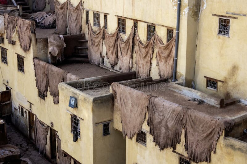 Skins Drying in the Sun, Hanging on the Terraces of a Tannery in Fez ...