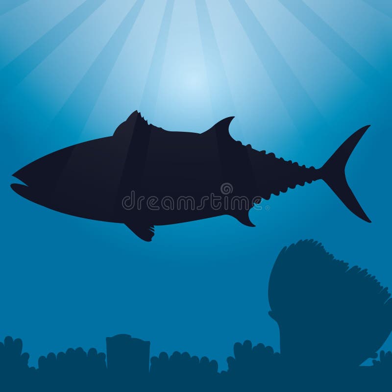 Skipjack Stock Illustrations – 105 Skipjack Stock Illustrations ...