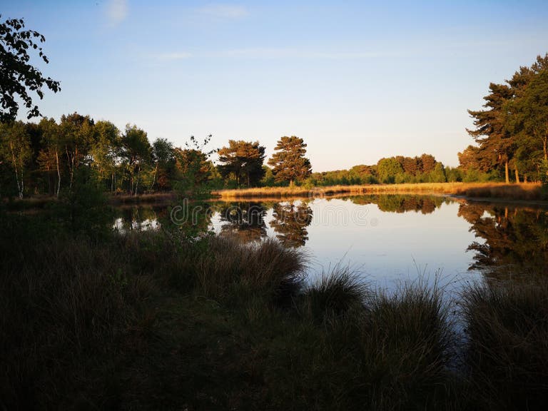 Skipwith Common stock image. Image of skipwith, lake - 149391215