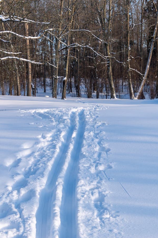 Skis Driven into Snow, Two Lines in Snow Stock Photo - Image of white ...
