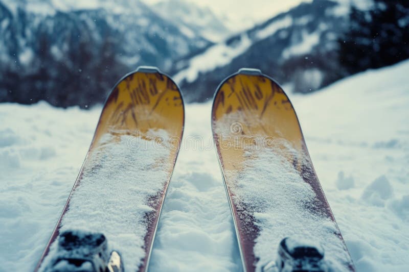 Ski Boots on Skis in Snow stock photo. Image of equipment - 359047376