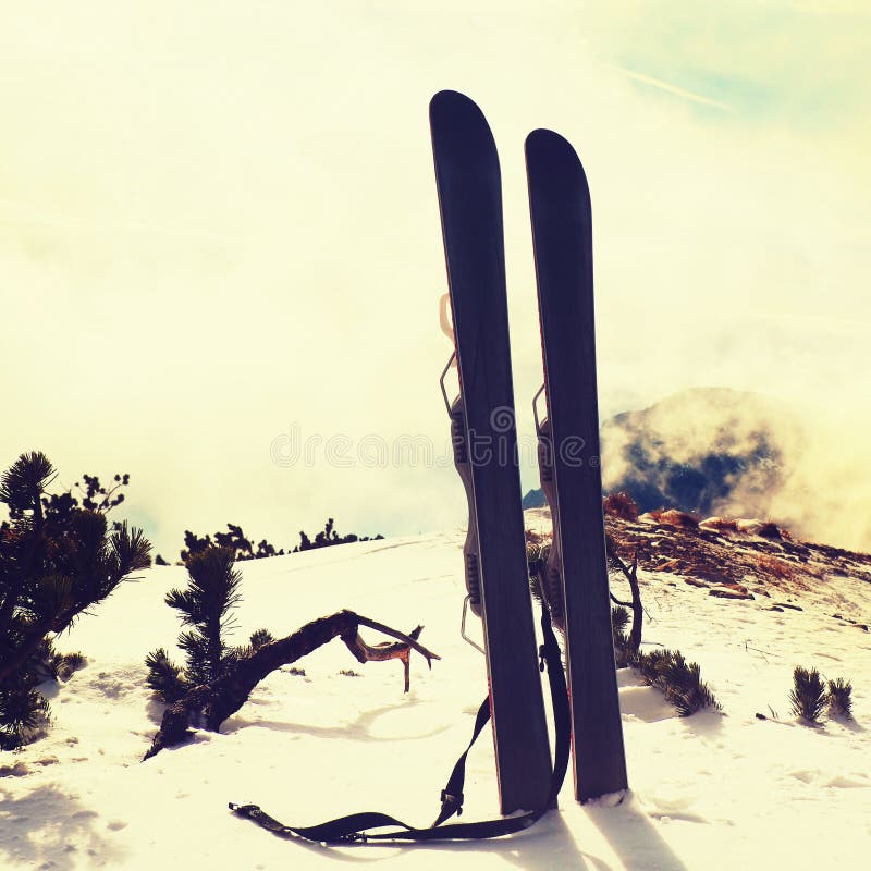 Skis in Snow at Mountains, Nice Sunny Winter Day at Peak Stock Image ...
